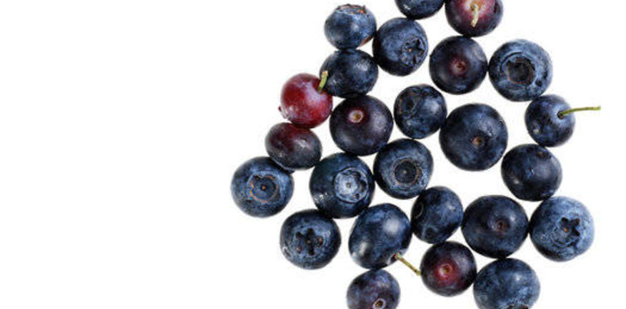 Product of the Week: Blueberry Fragrance | Gracefruit